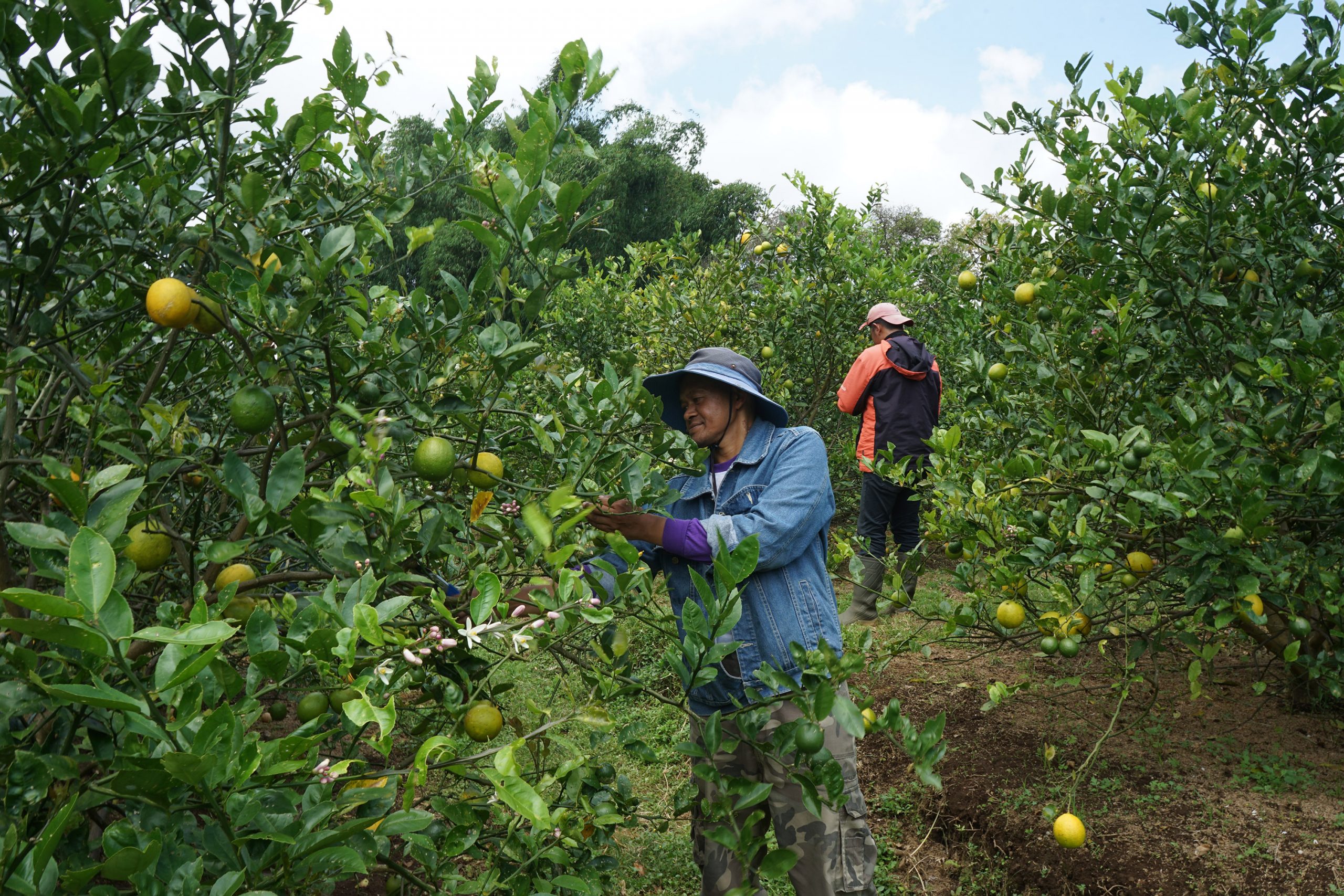 TaniFund Luncurkan Pendanaan Usaha Mikro